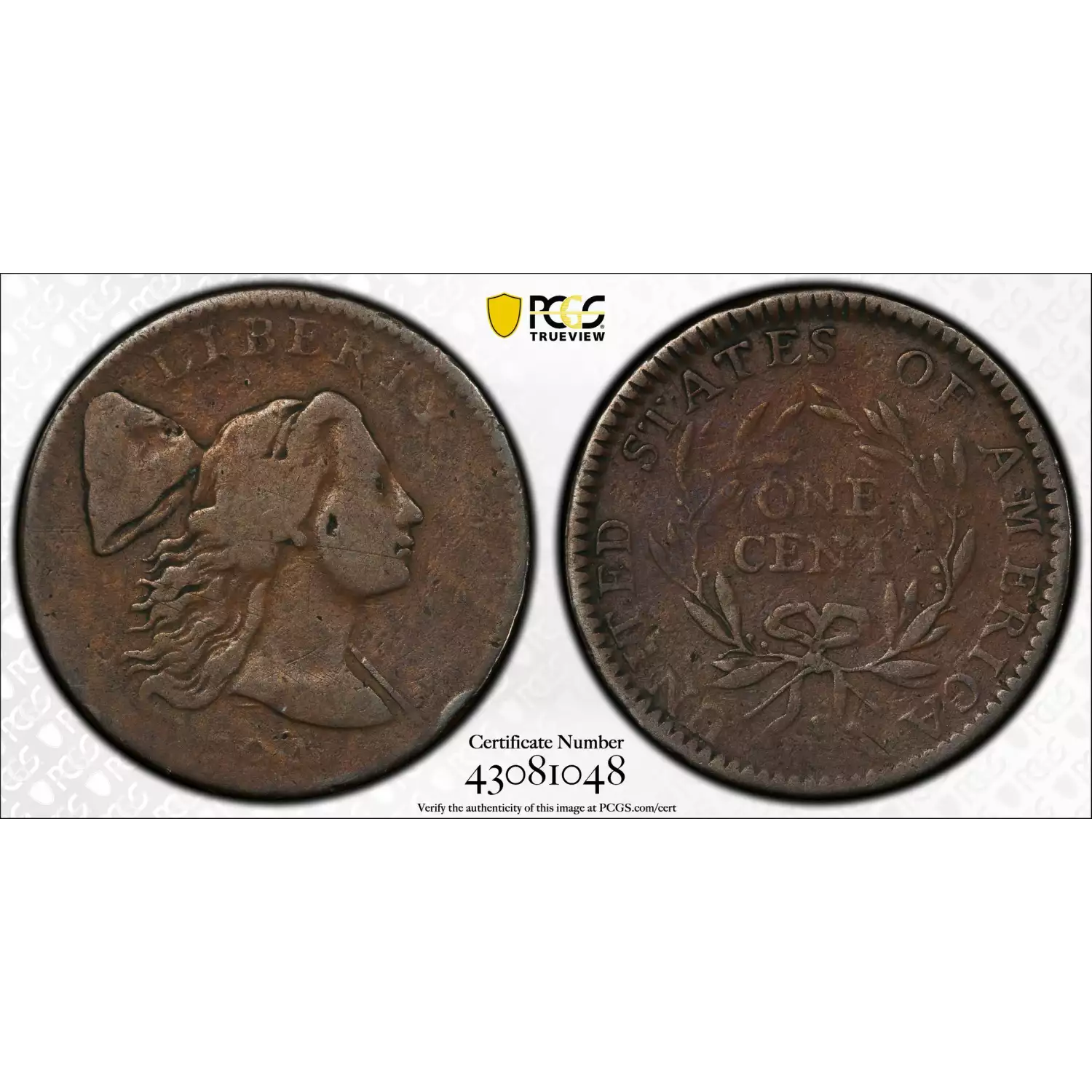 1794 Head of 1794 BN PCGS VG-10 - Bob Paul Rare Coins