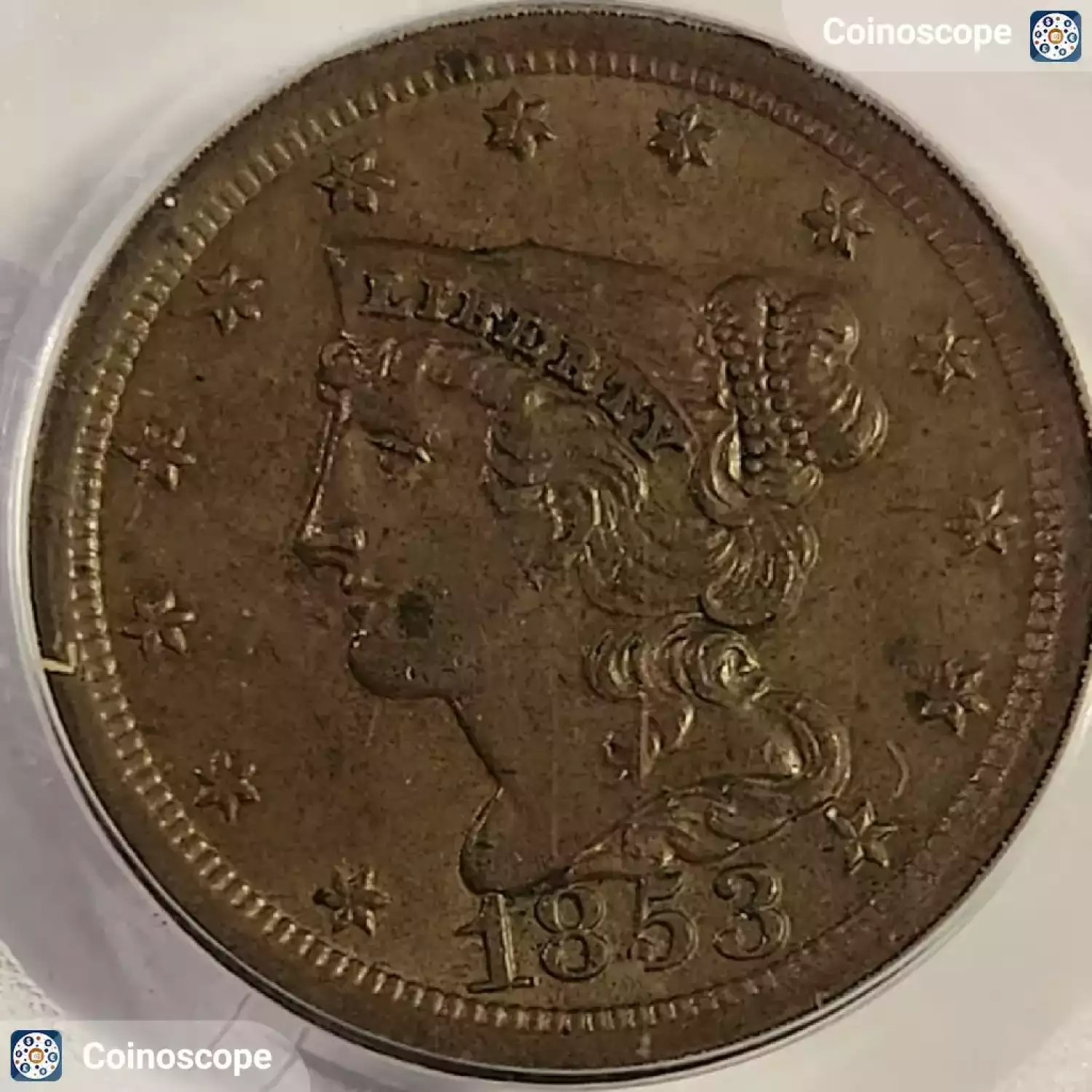 1853 Half Cents Braided Hair PCGS AU-55 BN - Bob Paul Rare Coins