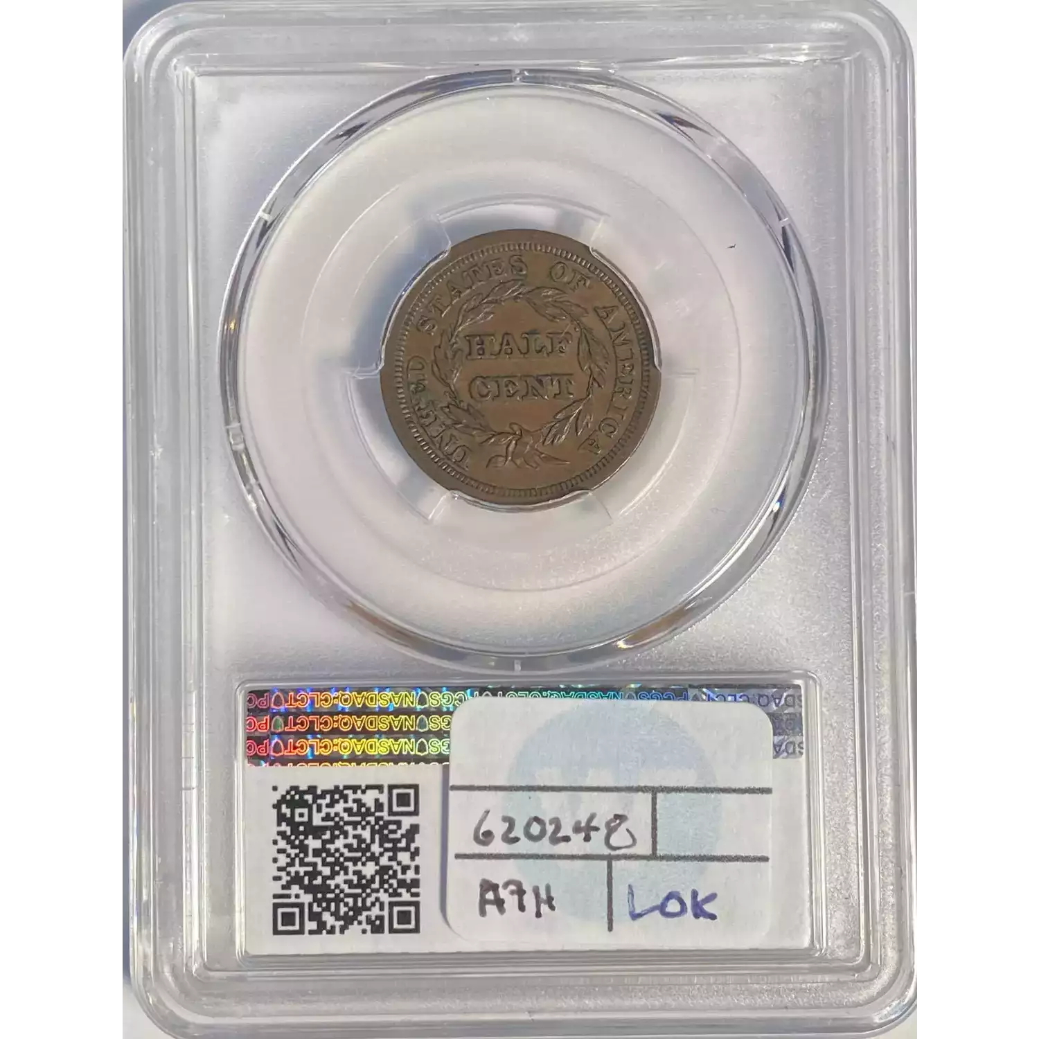 1854 Half Cents Braided Hair PCGS AU-55 BN - Bob Paul Rare Coins