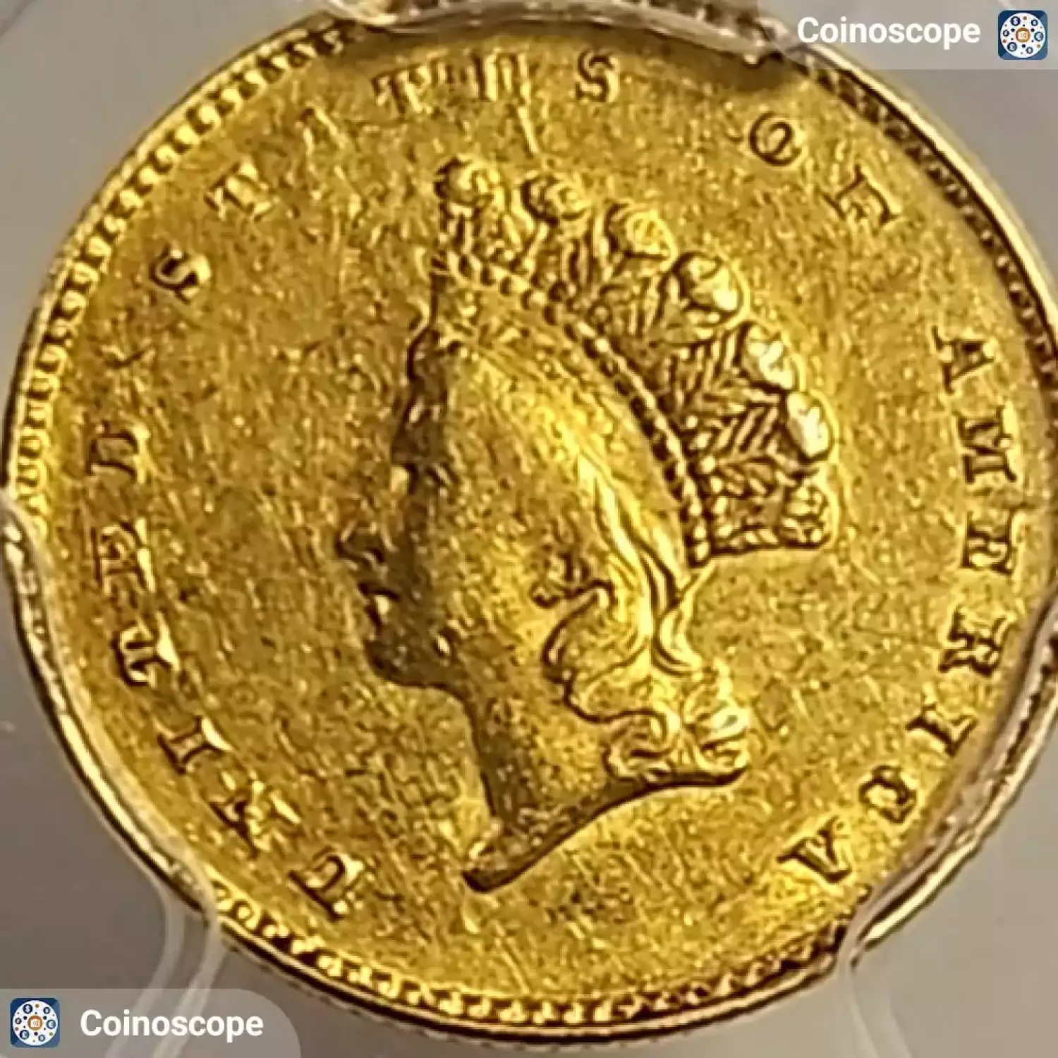 1855-D Gold Dollars Indian Princess Head, Small Head PCGS AU-53 - Bob ...