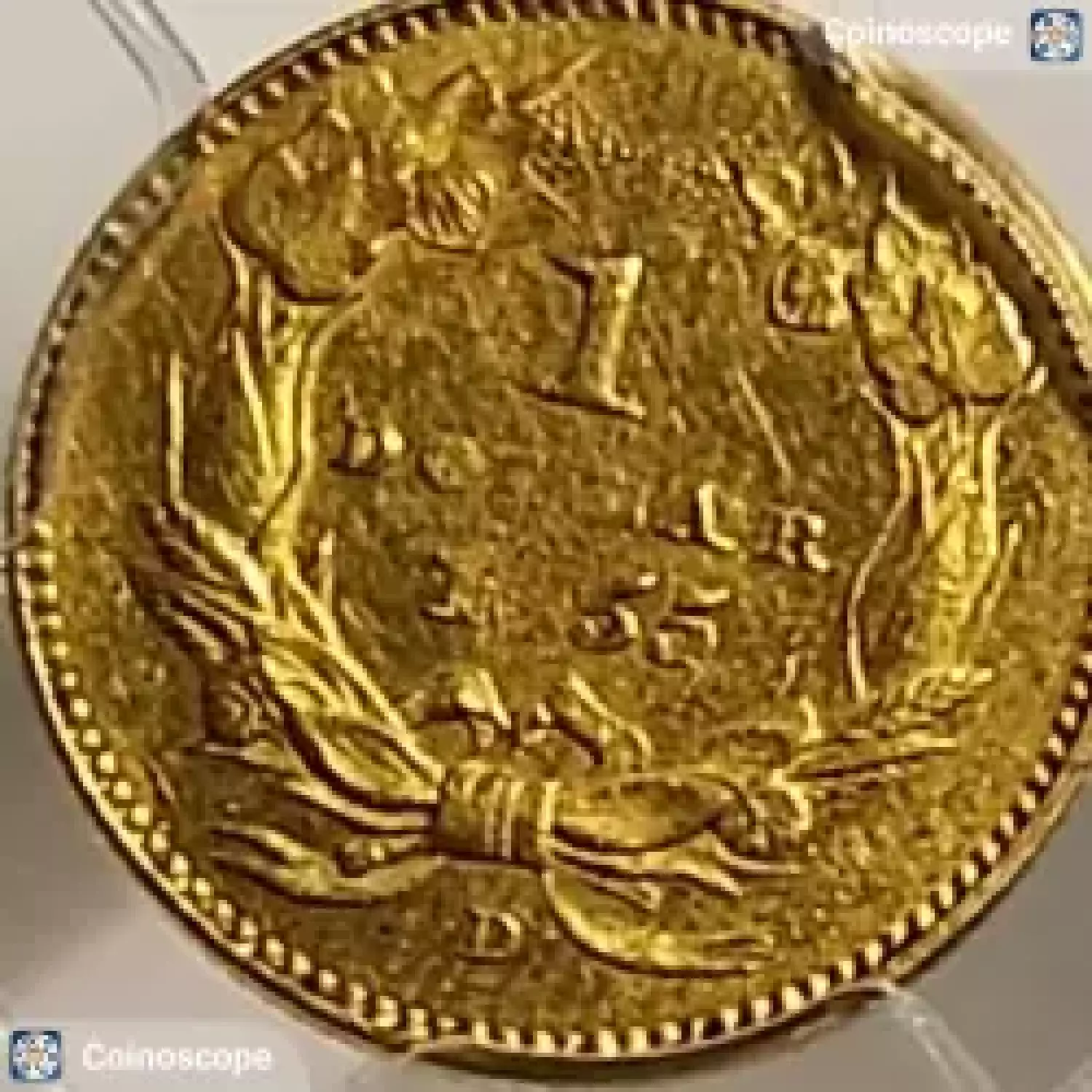1855-D Gold Dollars Indian Princess Head, Small Head PCGS AU-53 - Bob ...