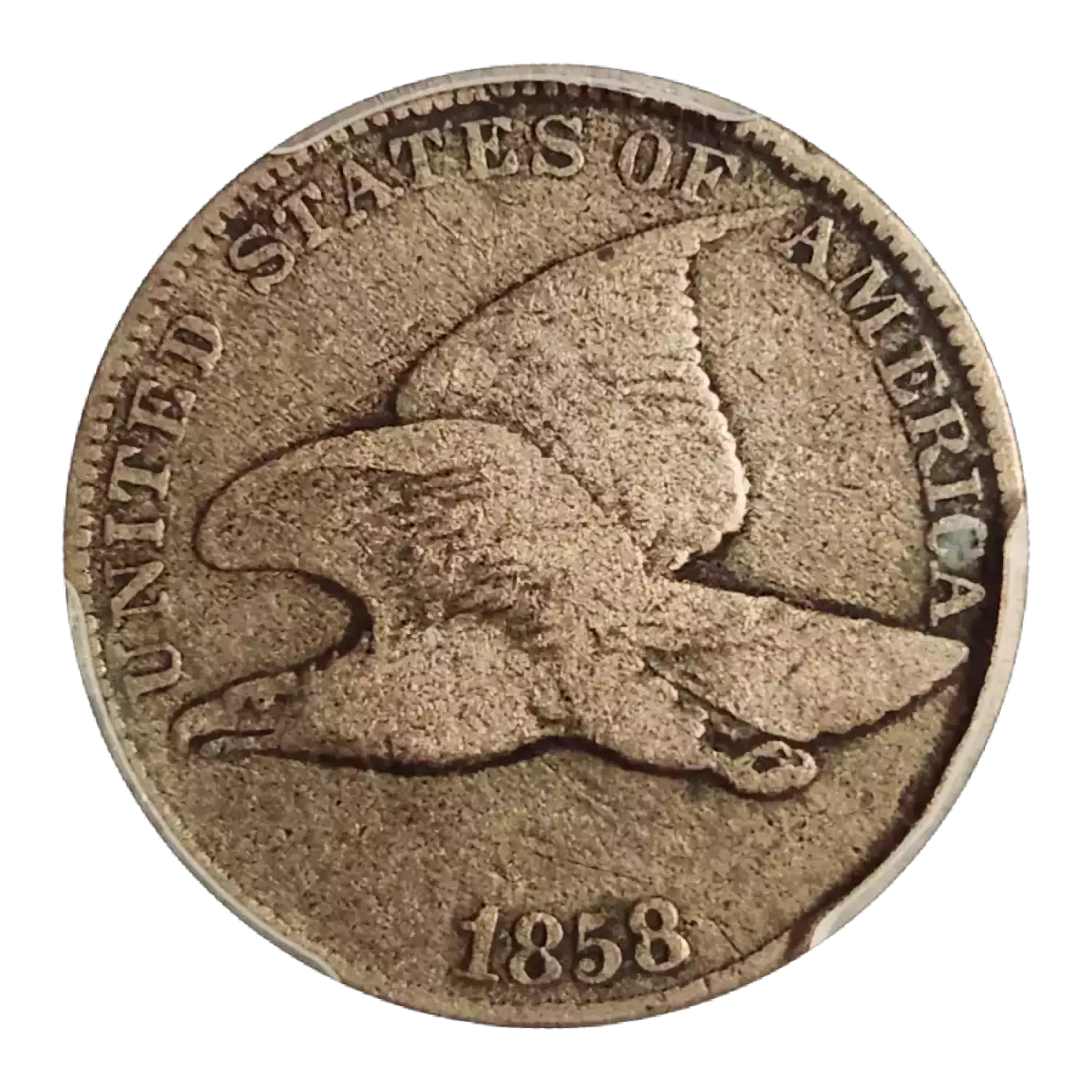 1858 Small Cents Flying Eagle PCGS VG-8 Large Letters - Bob Paul Rare Coins