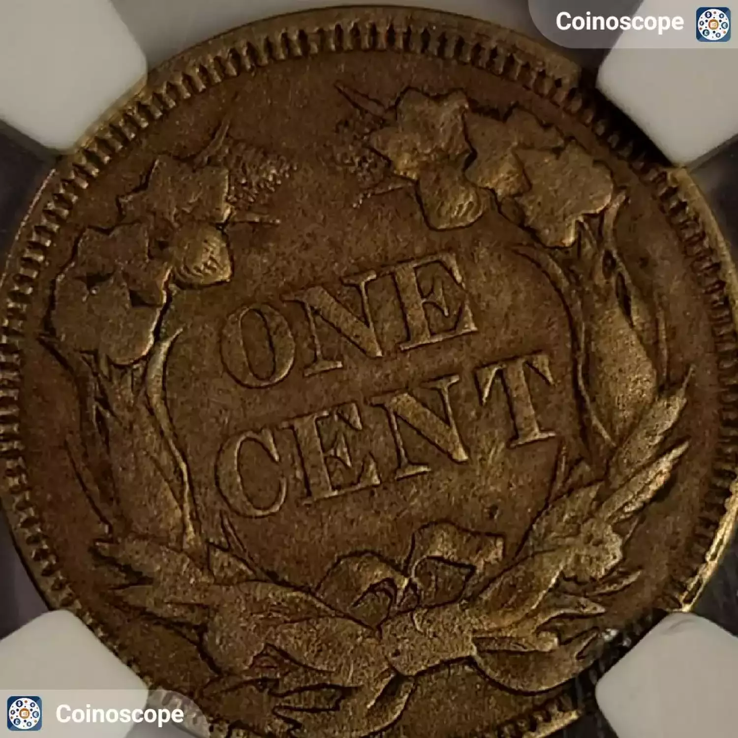 1858 Small Cents Flying Eagle NGC VF-30 Large Letters - Bob Paul Rare Coins