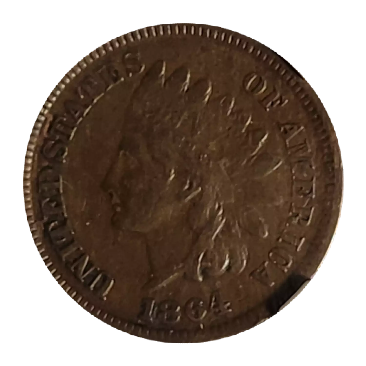 1864 Small Cents Indian Head NGC VF-25 BN NO L - BRONZE - Bob Paul Rare Coins