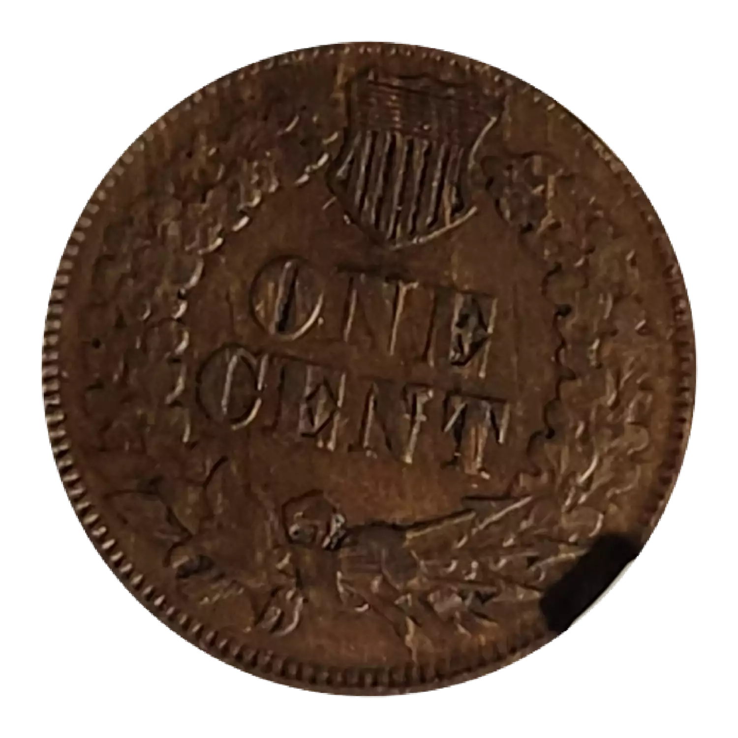 1864 Small Cents Indian Head NGC VF-25 BN NO L - BRONZE - Bob Paul Rare Coins