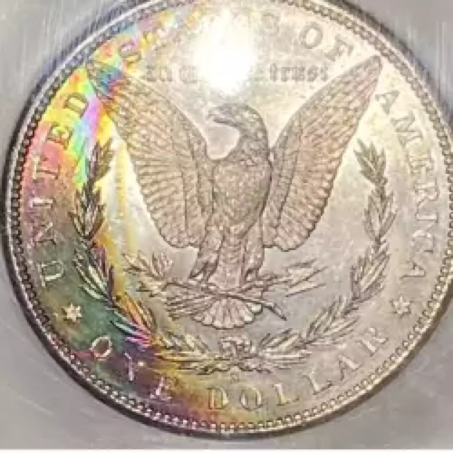 1881-S Morgan Silver Dollar NGC MS-65* - Bob Paul Rare Coins