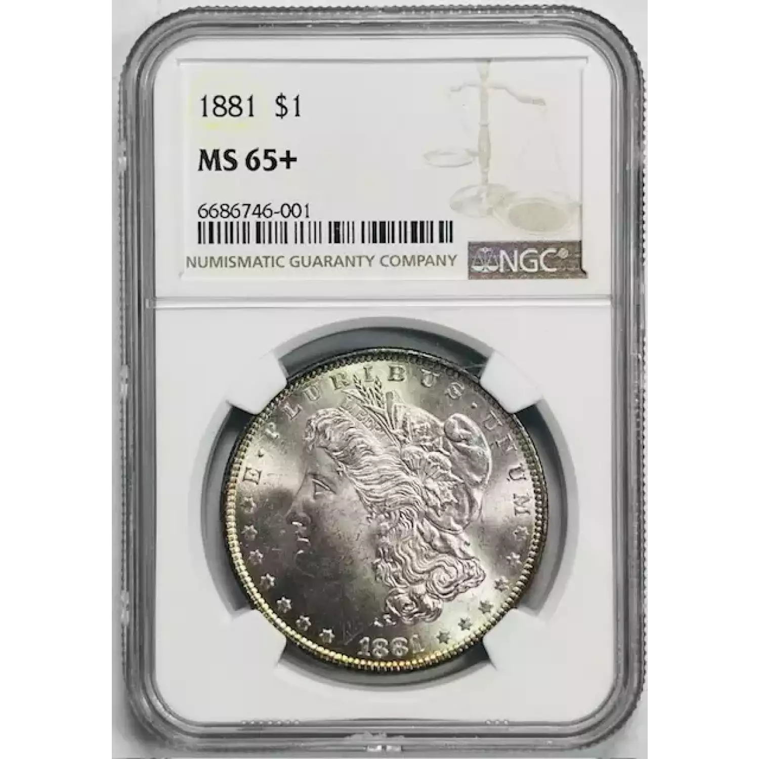 1881 Morgan Silver Dollar NGC MS-65+ - Bob Paul Rare Coins