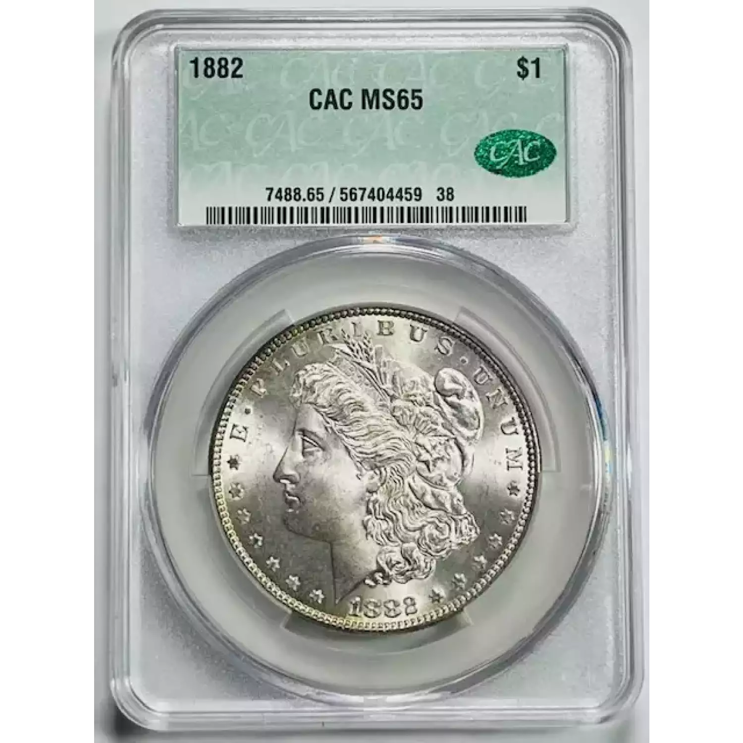 1882 Morgan Silver Dollar CACG MS 65 PQ! CAC - Bob Paul Rare Coins