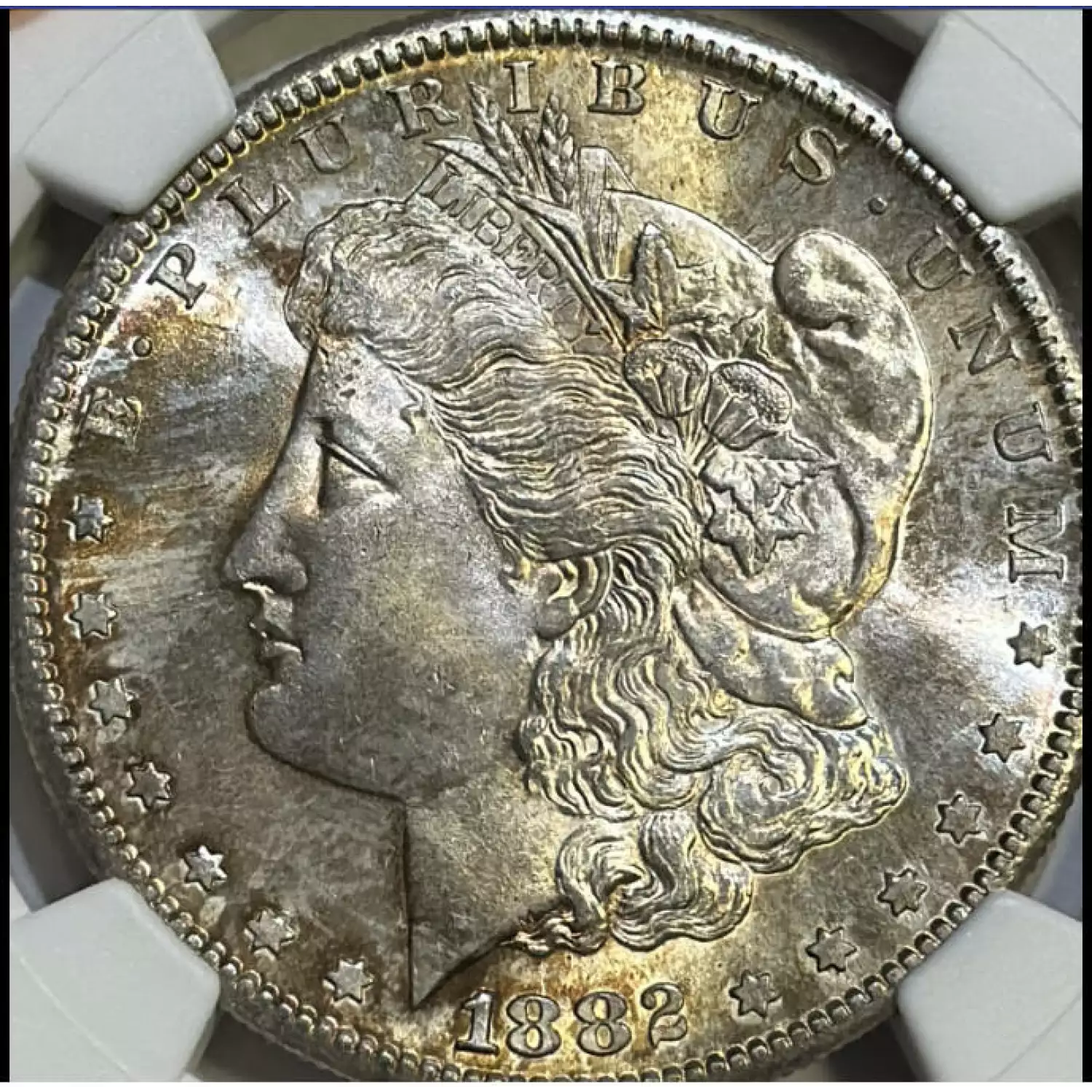 1882-S Morgan Silver Dollar NGC MS-66 CAC - Bob Paul Rare Coins