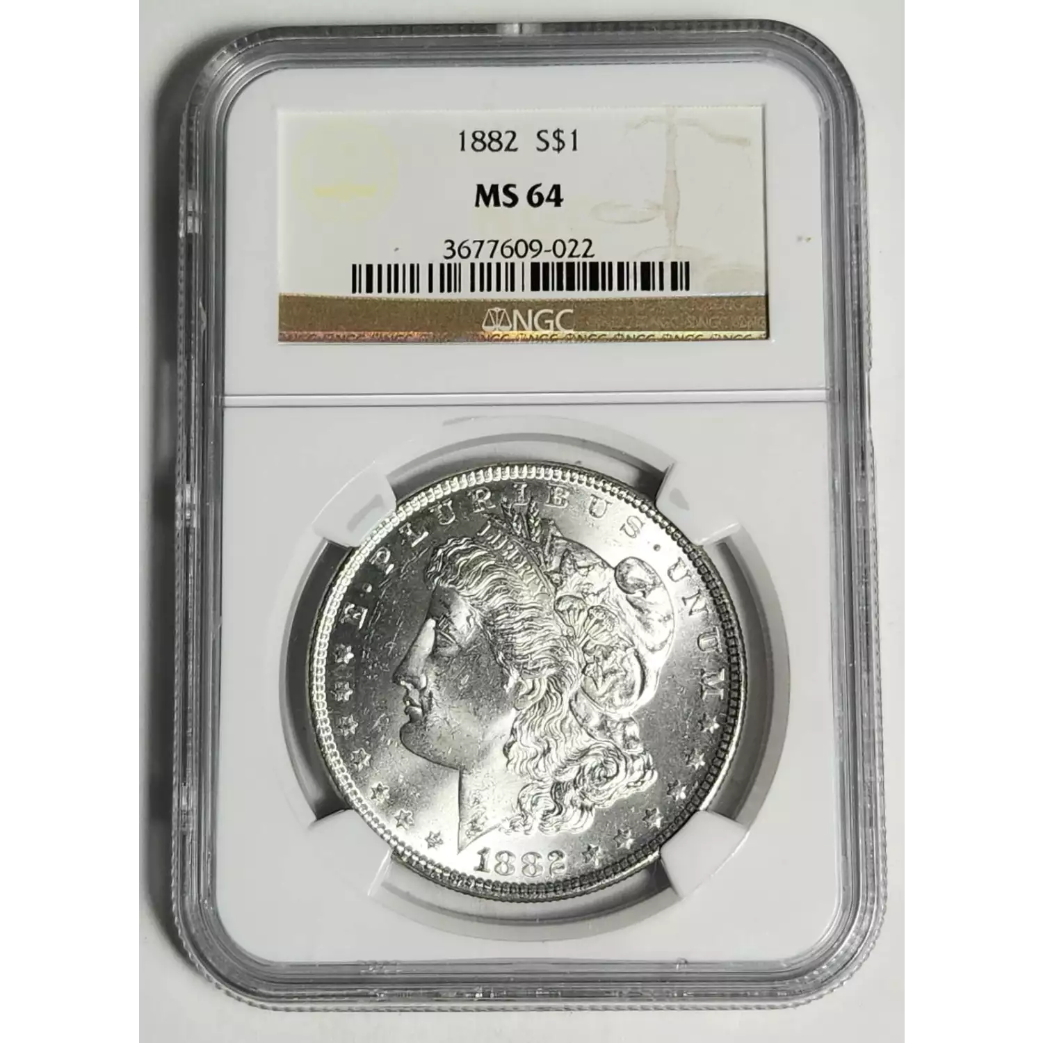 1882 Morgan Silver Dollar NGC MS-64 - WHITE - Bob Paul Rare Coins
