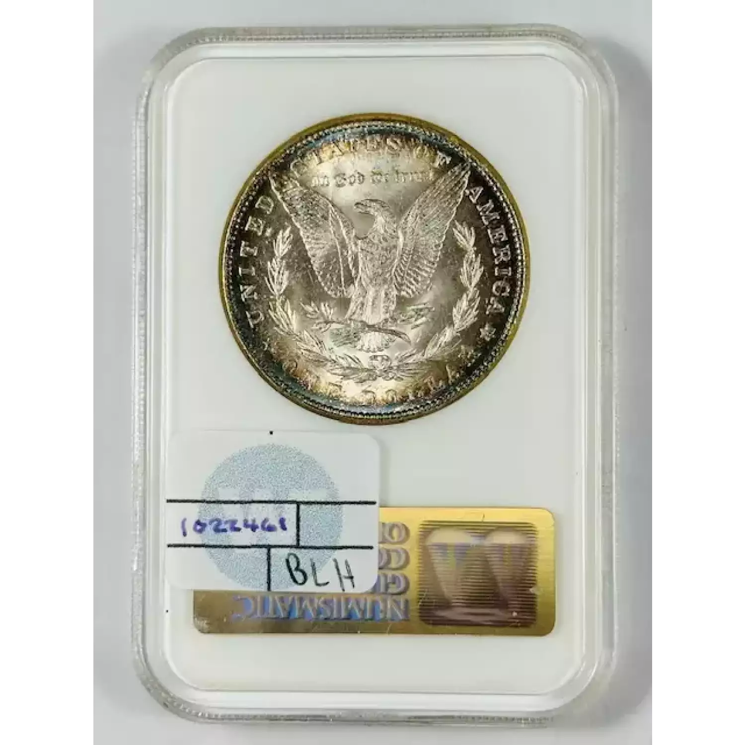 1882 Morgan Silver Dollar NGC MS-64 Old Fatty Slab - Bob Paul Rare Coins