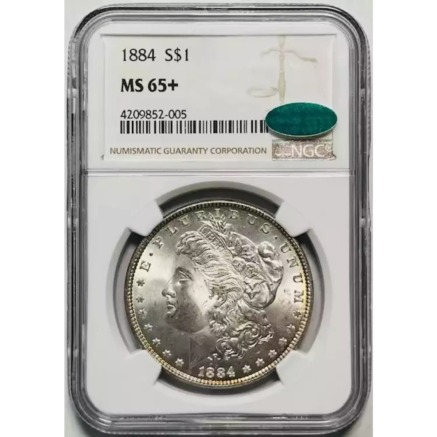 1884 Morgan Silver Dollar NGC MS-65+ CAC - Bob Paul Rare Coins