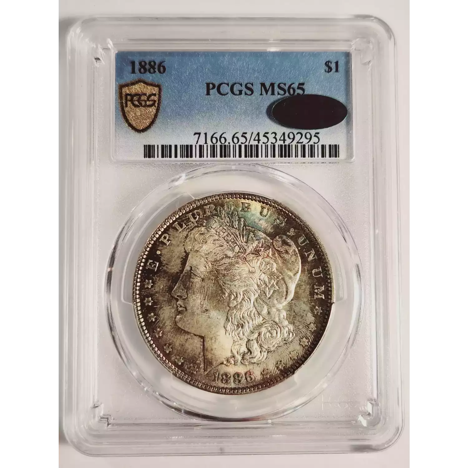 1886 Morgan Silver Dollar PCGS MS-65 - OG TONING CAC - Bob Paul Rare Coins