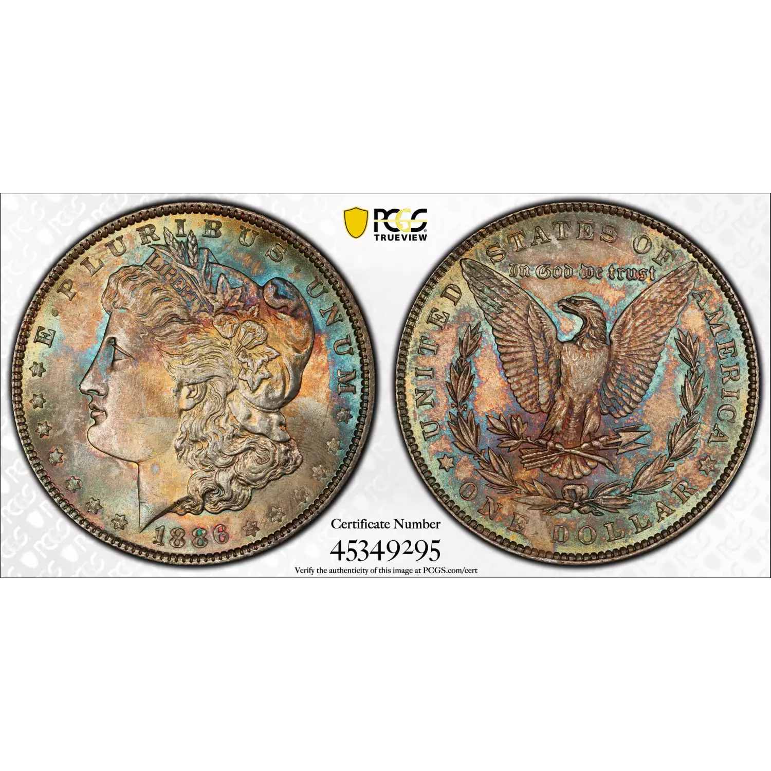 1886 Morgan Silver Dollar PCGS MS-65 - OG TONING CAC - Bob Paul Rare Coins