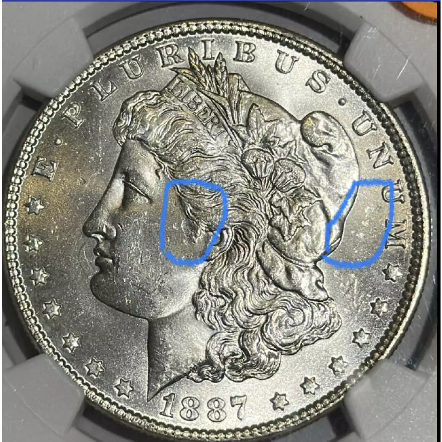 1887 Morgan Silver Dollar NGC MS-65 - MINT ERROR - OBVERSE STRUCK THROUGH - Bob Paul Rare Coins
