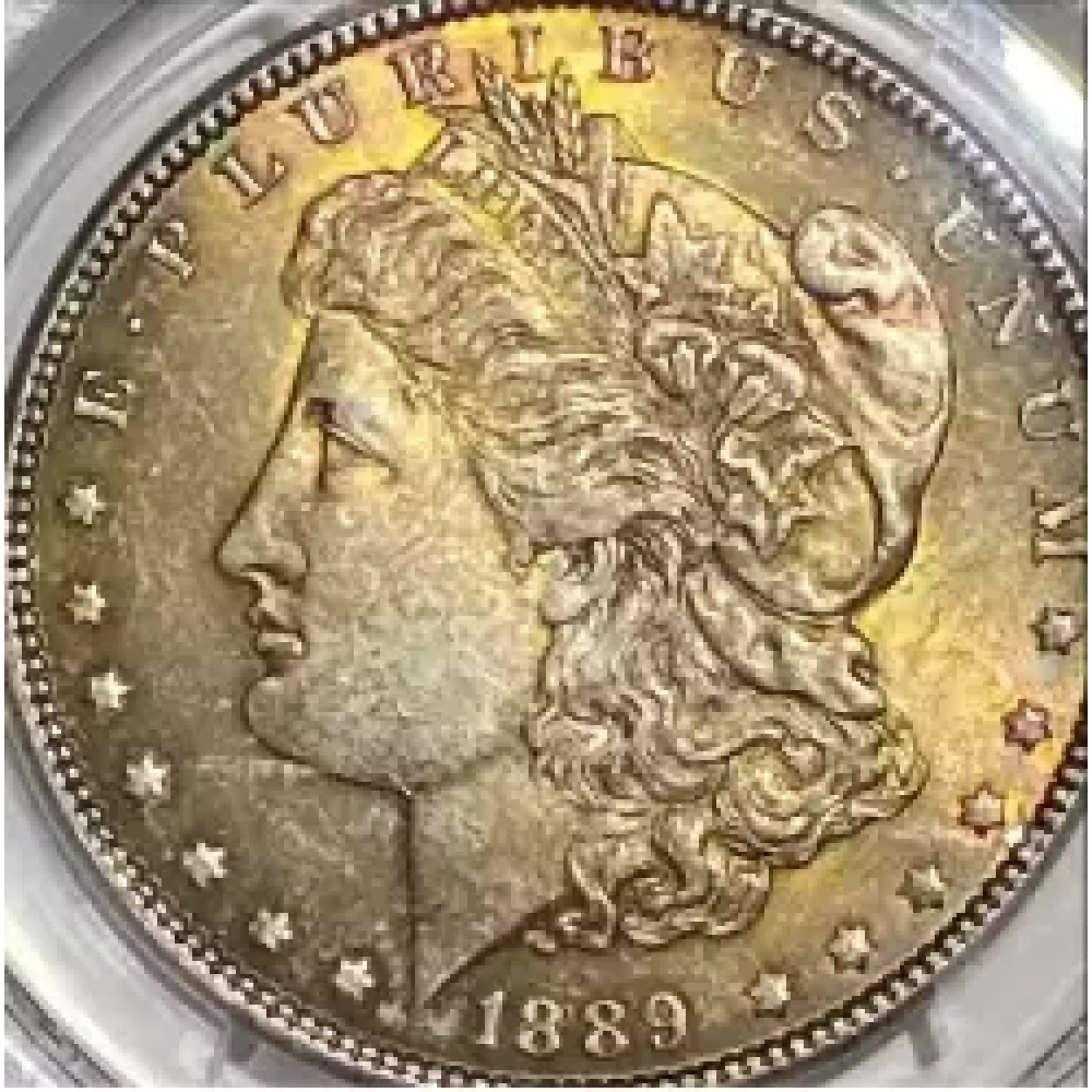 1889 Morgan Silver Dollar PCGS MS-64 - Bob Paul Rare Coins