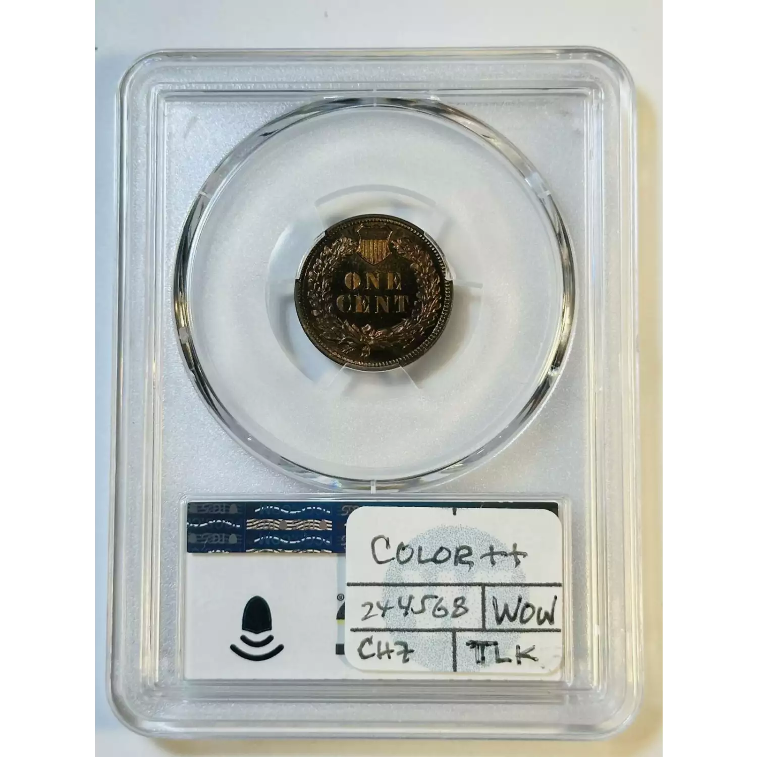 1899 Small Cents Indian Head PCGS PR-65 RB - Bob Paul Rare Coins