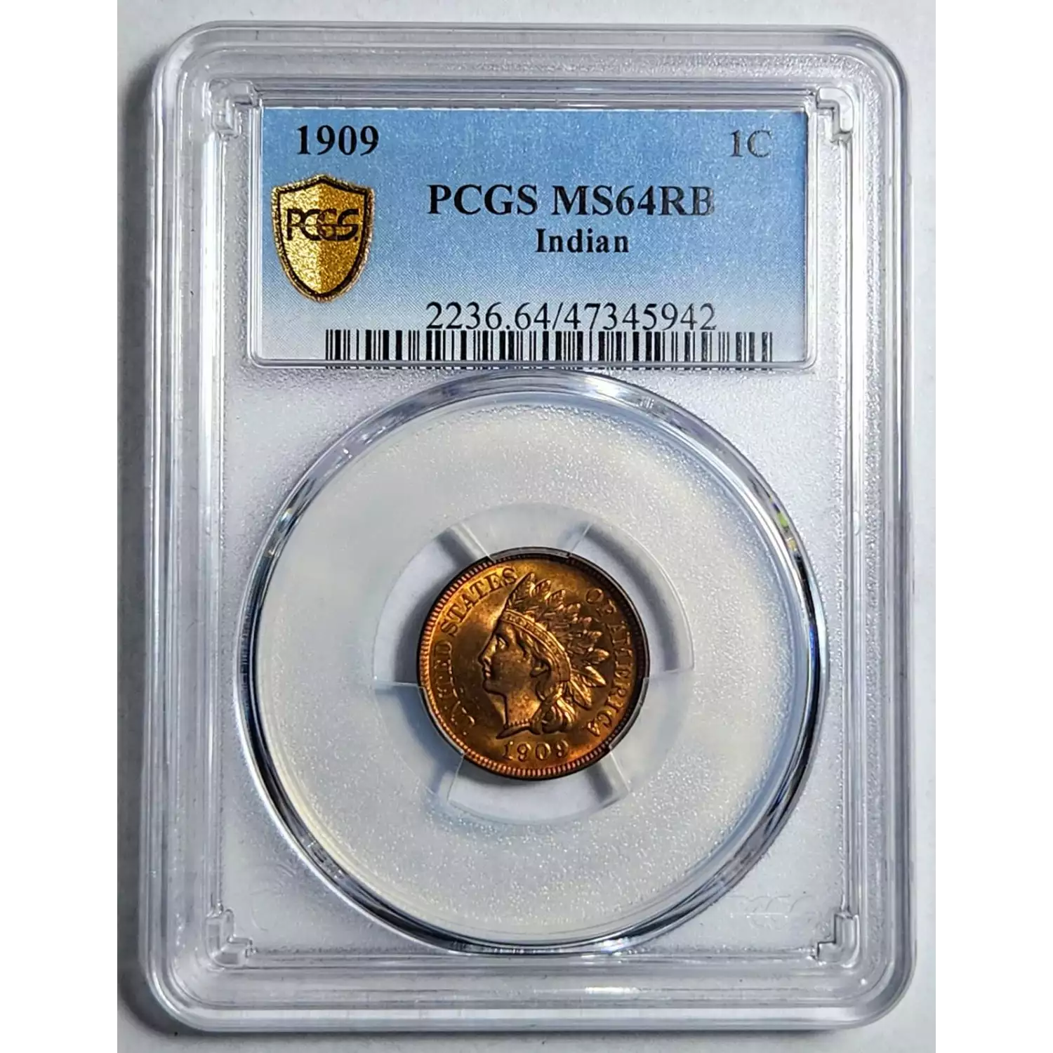 1909 - WOW - PRETTY COLOR RB PCGS MS-64 - Bob Paul Rare Coins