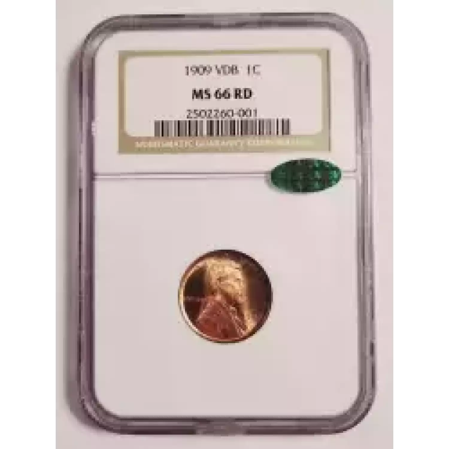 1909 Small Cents Lincoln, Wheat Ears Reverse NGC MS-66 RD CAC - Bob Paul Rare Coins