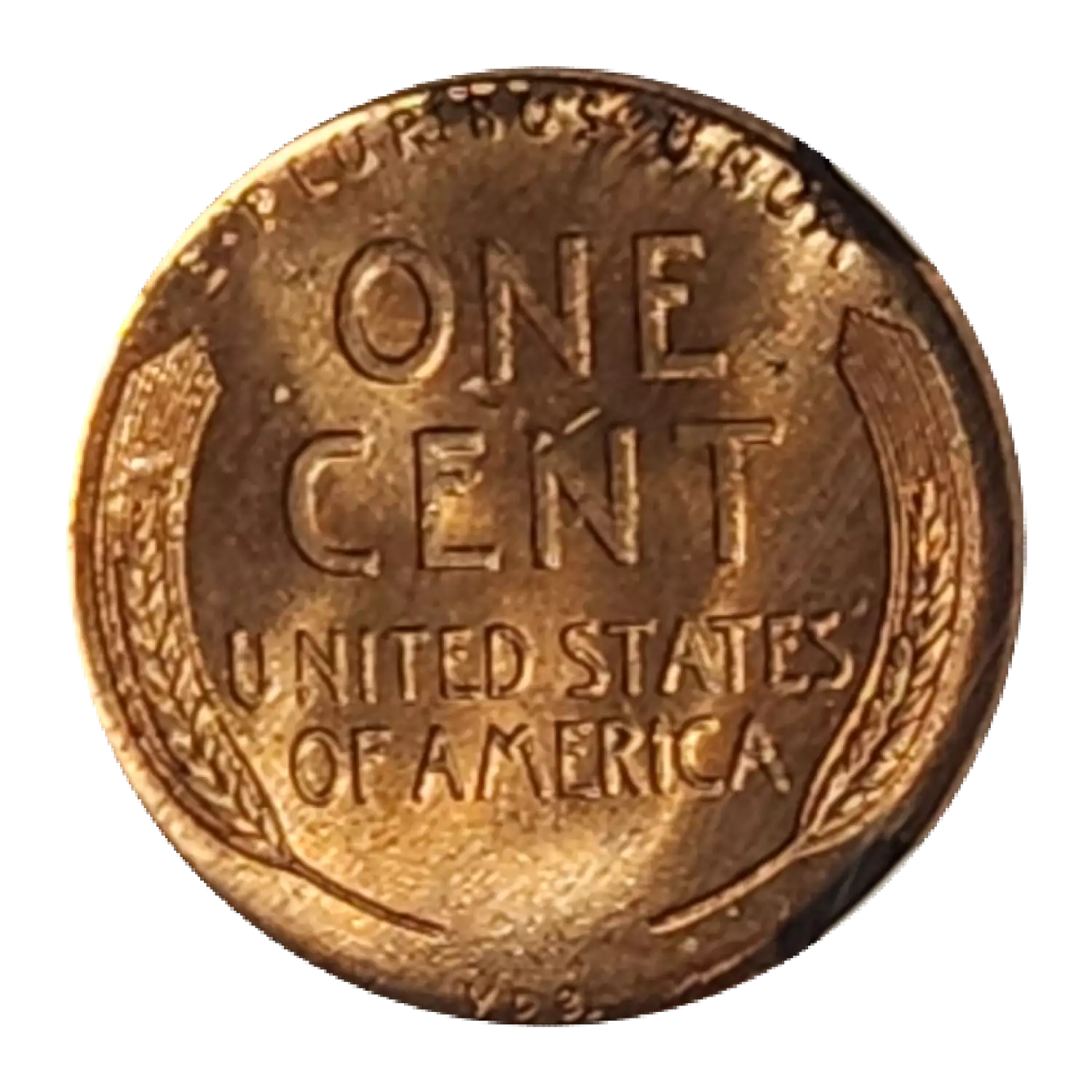 1909 Small Cents Lincoln, Wheat Ears Reverse NGC MS-65 RD VDB - Bob Paul Rare Coins