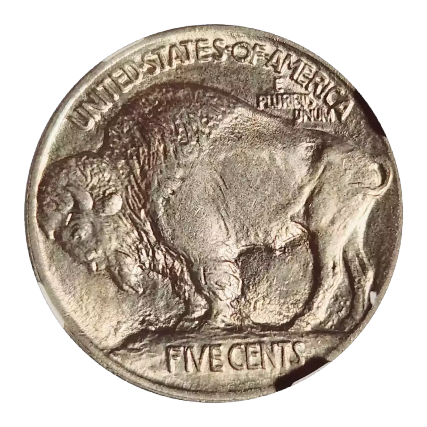 1913 Buffalo Nickel NGC MS-67 TYPE 1 - Bob Paul Rare Coins