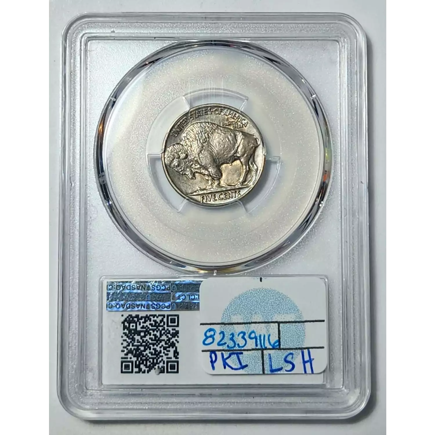 1919 Buffalo Nickel PCGS MS-64 - Bob Paul Rare Coins