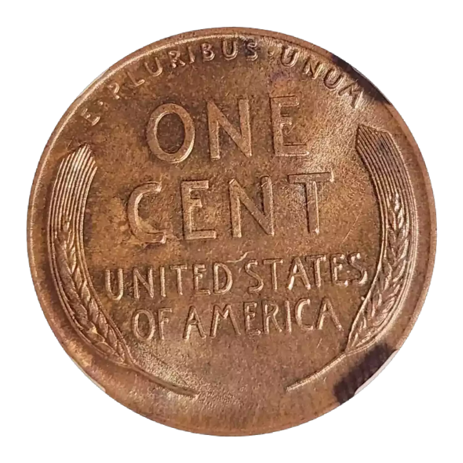 1919 NGC MS-64 BN Small Cents Lincoln, Wheat Ears Reverse - Bob Paul ...