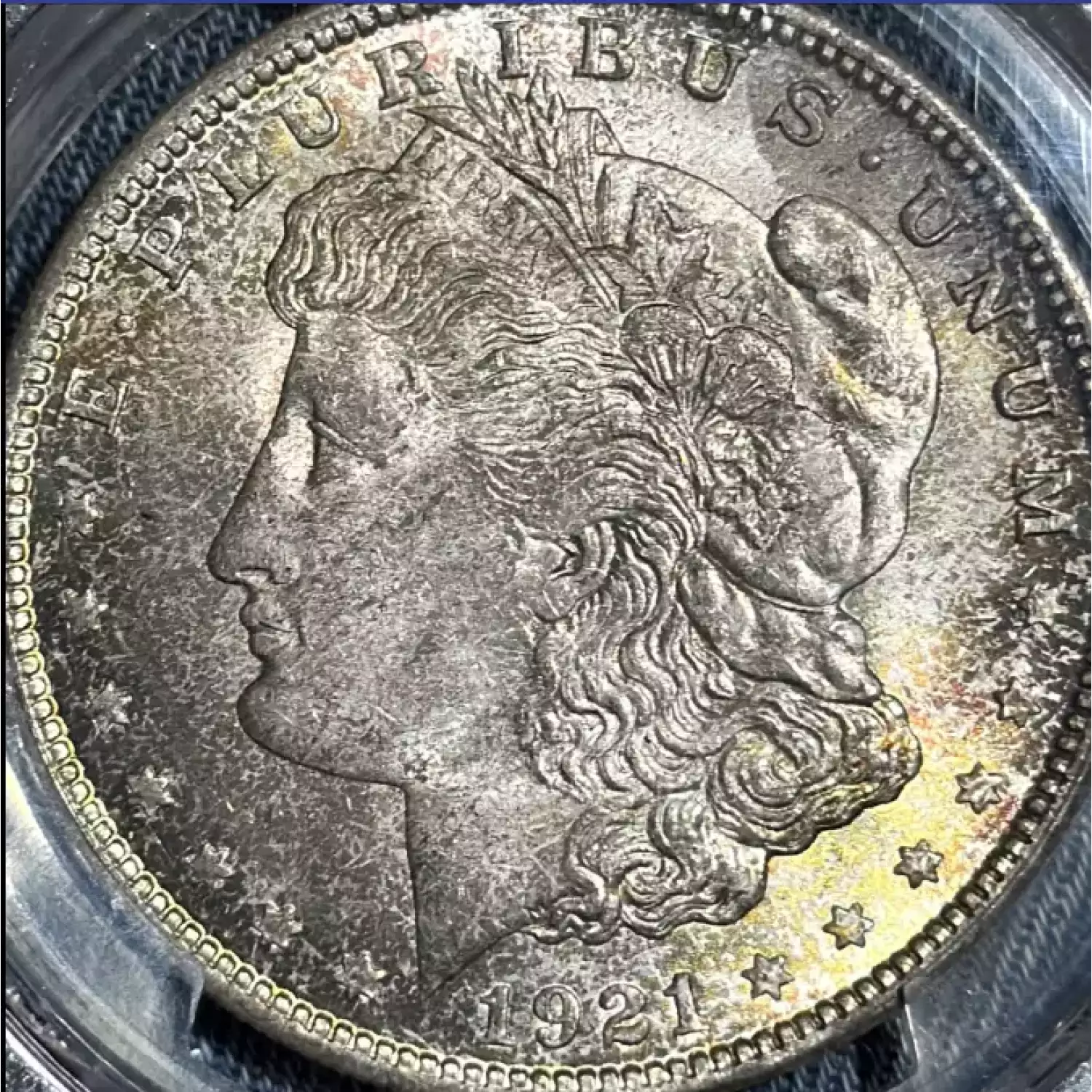 1921 Morgan Silver Dollar PCGS MS-64 Morgan - Bob Paul Rare Coins