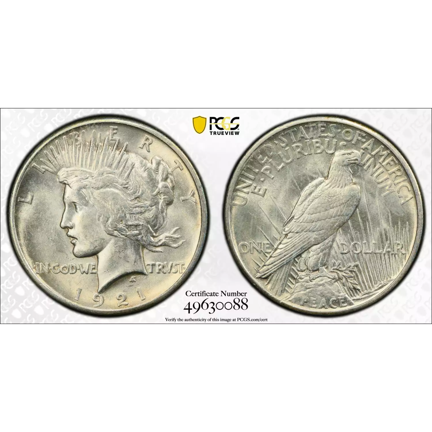 1921 Peace Dollar PCGS MS-62 Peace- White! - Bob Paul Rare Coins