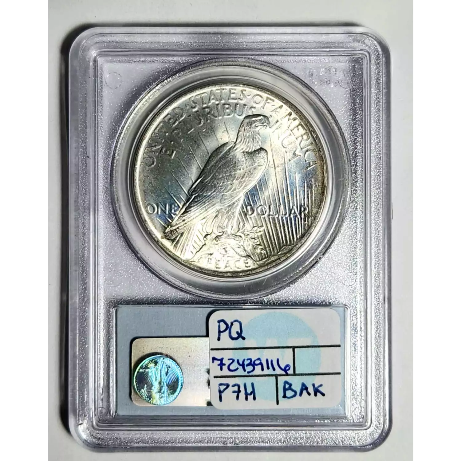 1923 Peace Dollar PCGS MS-63 VAM 1F - CHIN BAR - TOP 50 -PQ - Bob Paul Rare Coins