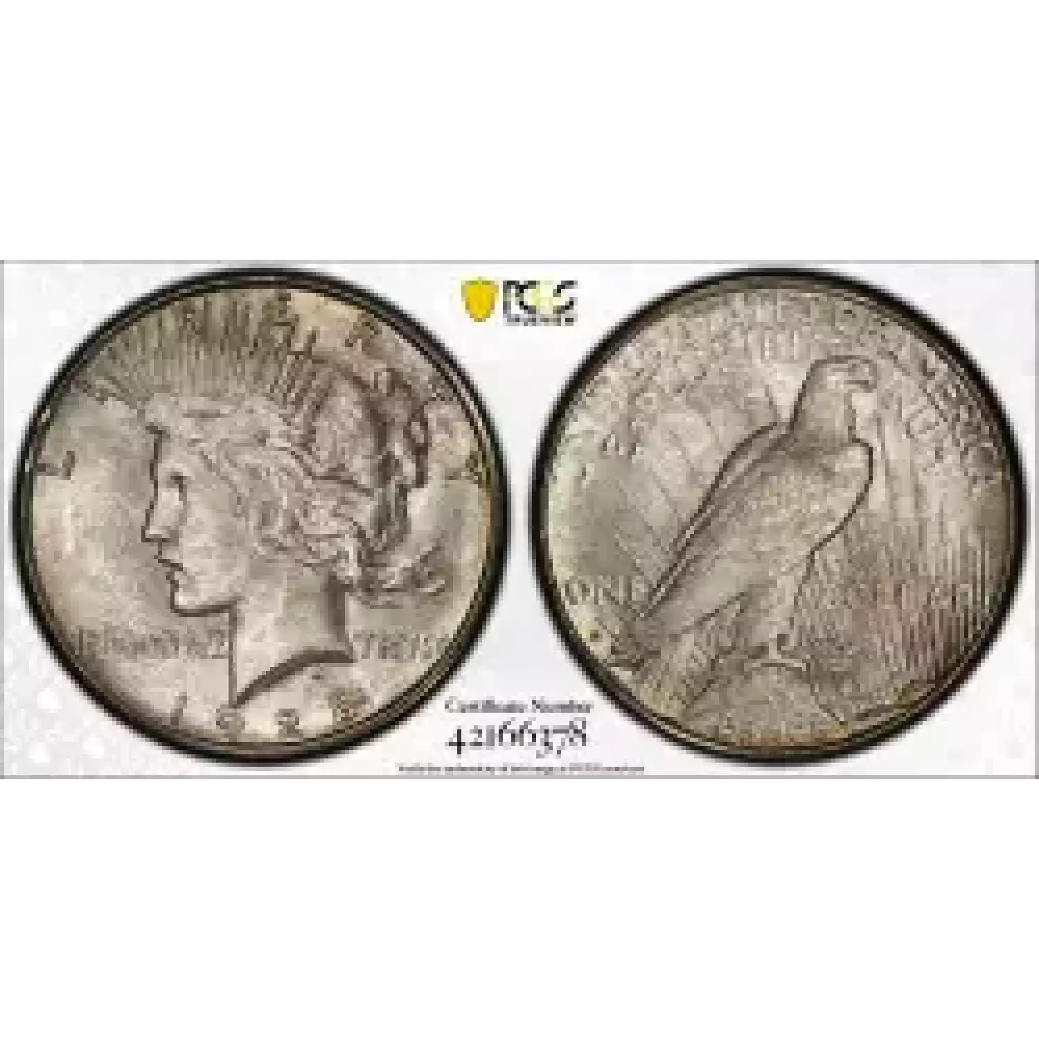 1928-S Peace Dollar PCGS MS-64+ - Bob Paul Rare Coins