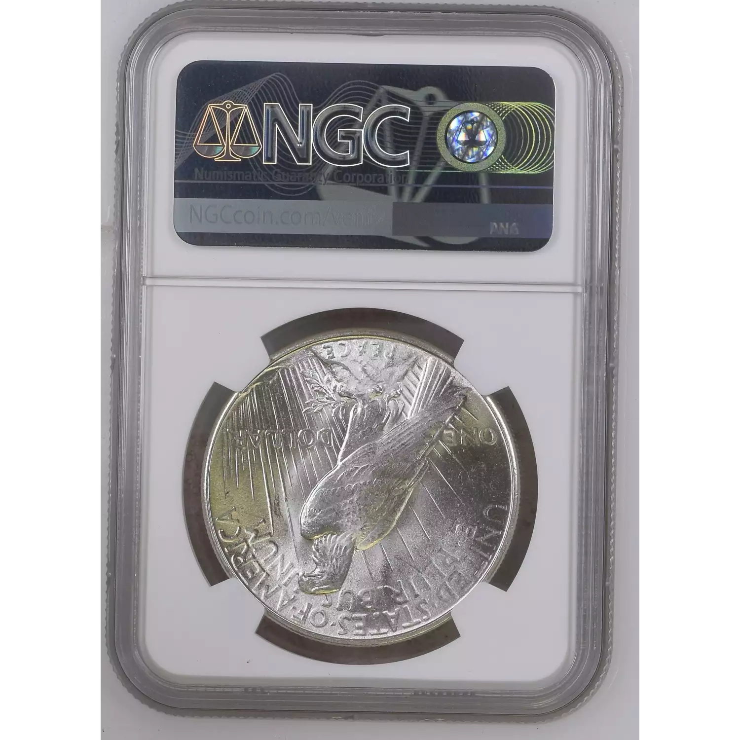 1934 Peace Dollar NGC MS-64 Sight White - Bob Paul Rare Coins