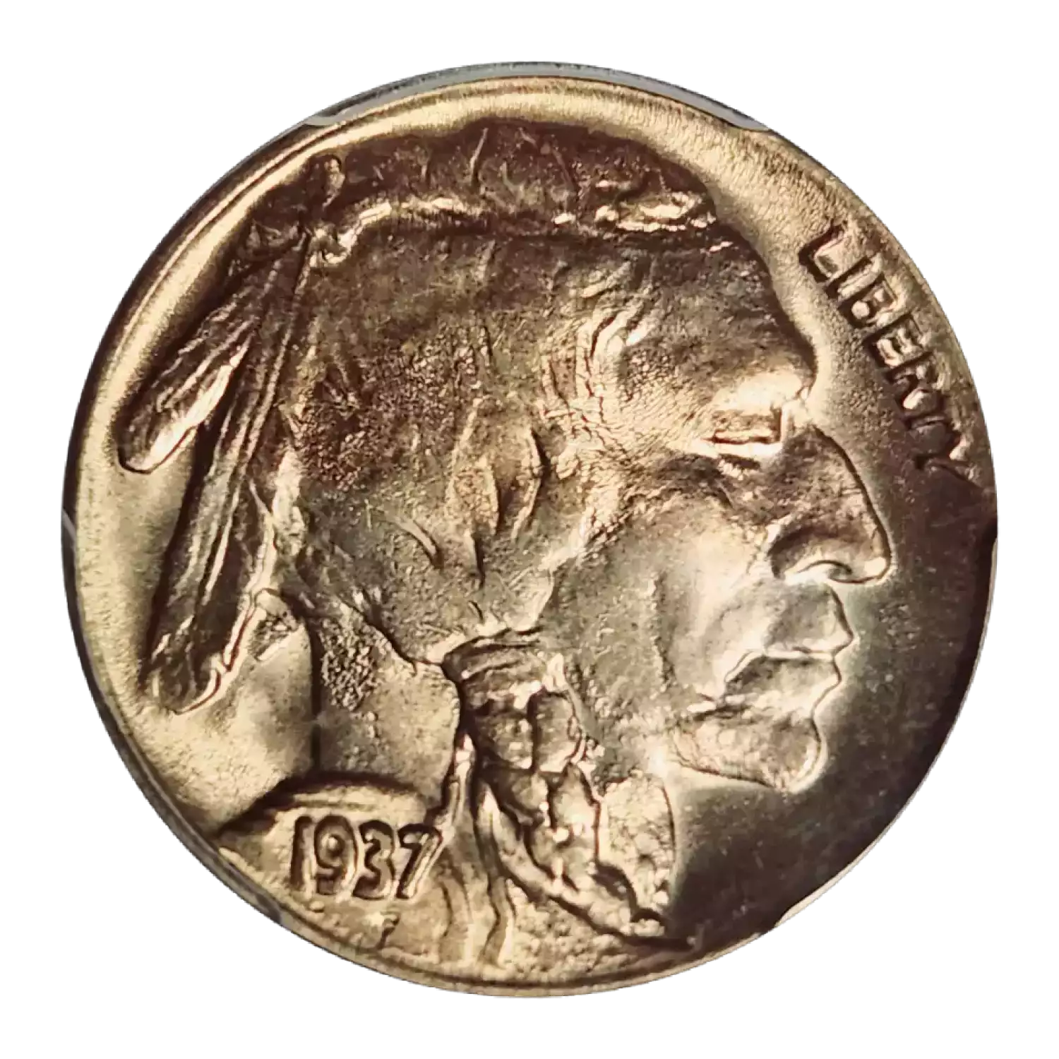 1937-D Buffalo Nickel PCGS MS-65+ 3 Legs CAC - Bob Paul Rare Coins