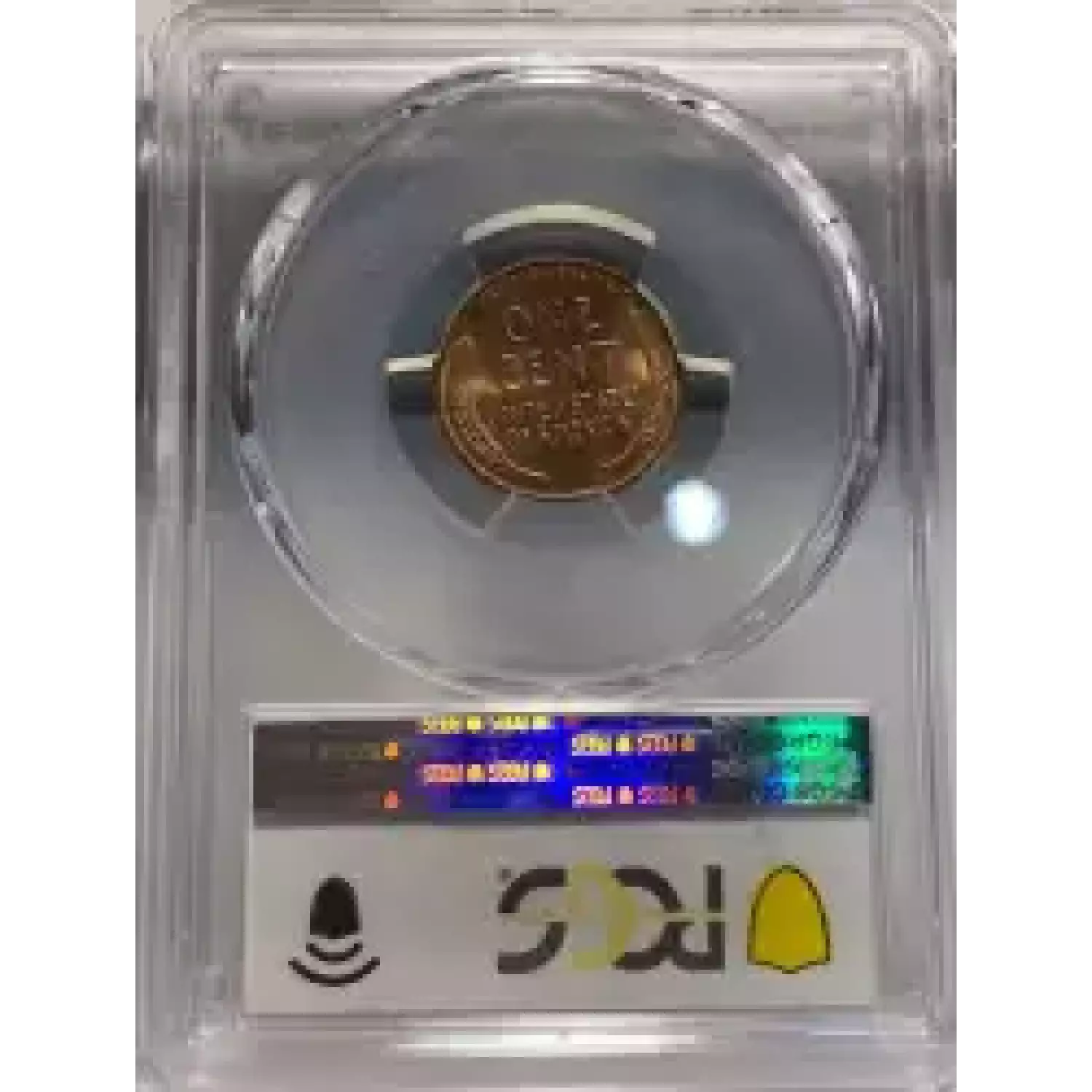 1955 Small Cents Lincoln, Wheat Ears Reverse PCGS MS-64 RD Doubled Die Obverse - Bob Paul Rare Coins