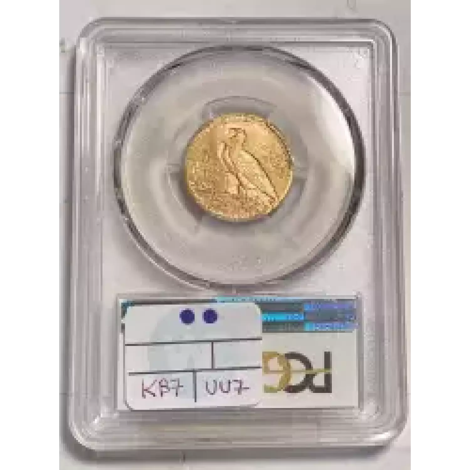 1909-D Gold Half Eagles $5 Indian Head PCGS MS-62 - Bob Paul Rare Coins