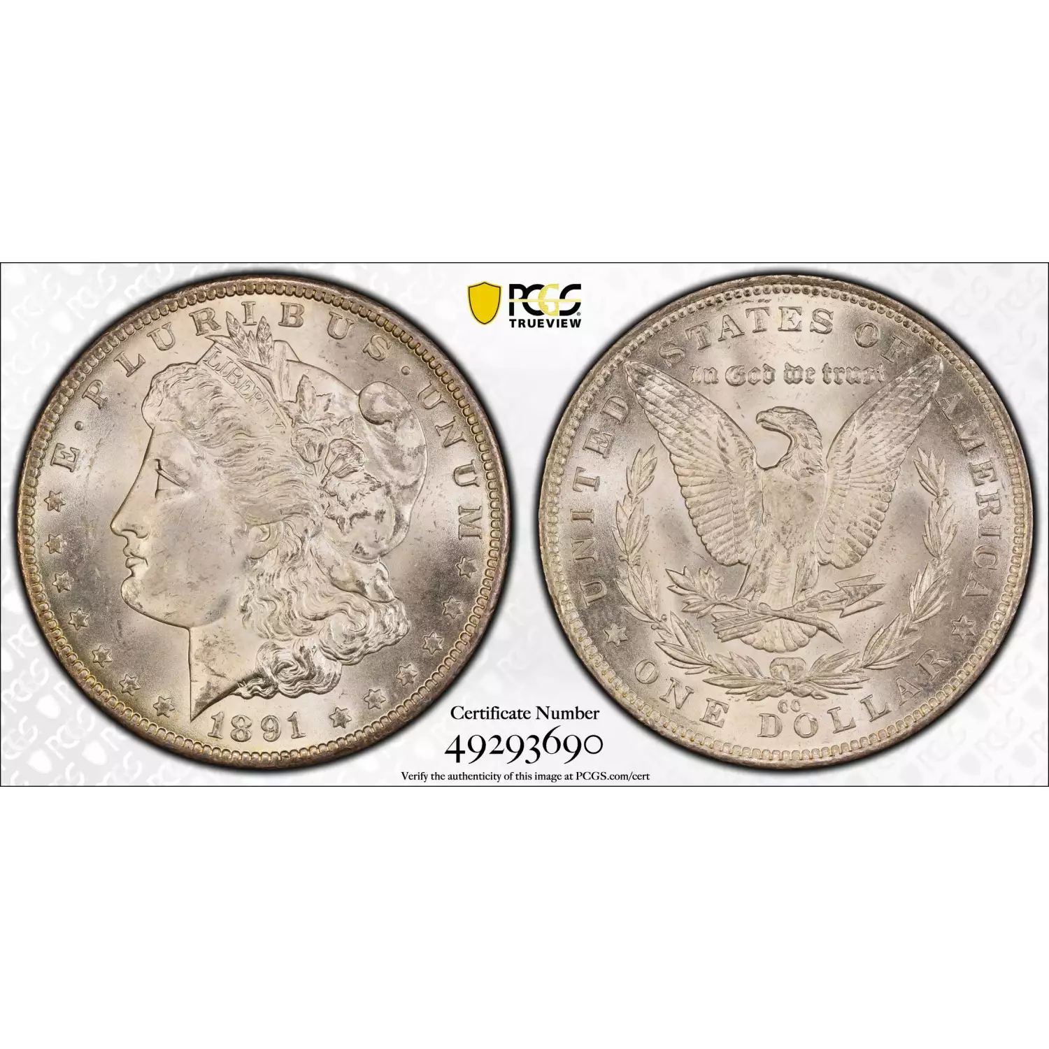 1891-CC Morgan Silver Dollar PCGS MS-64 -Spitting Eagle - Bob Paul Rare Coins