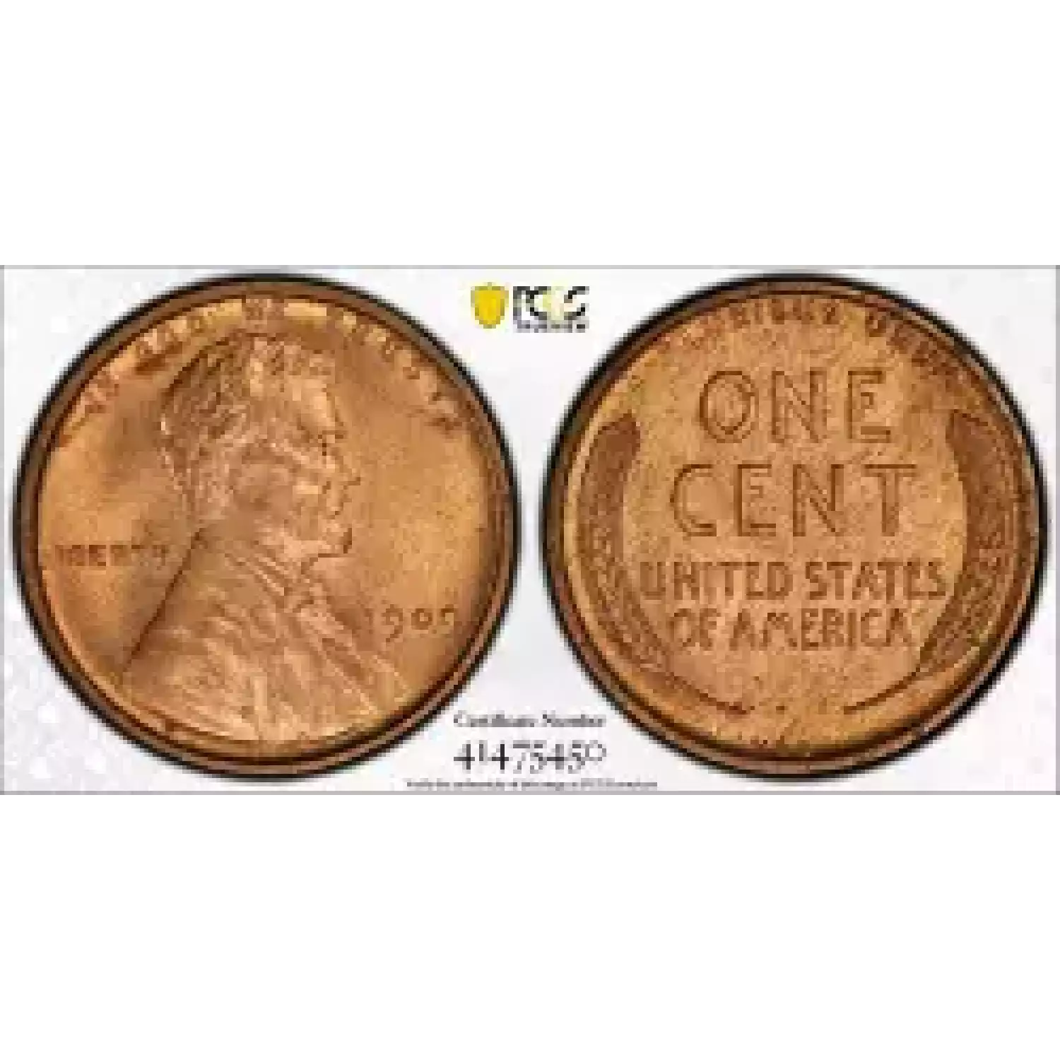 1909-VDB Small Cents Lincoln, Wheat Ears Reverse PCGS MS-65 RD - Bob Paul Rare Coins