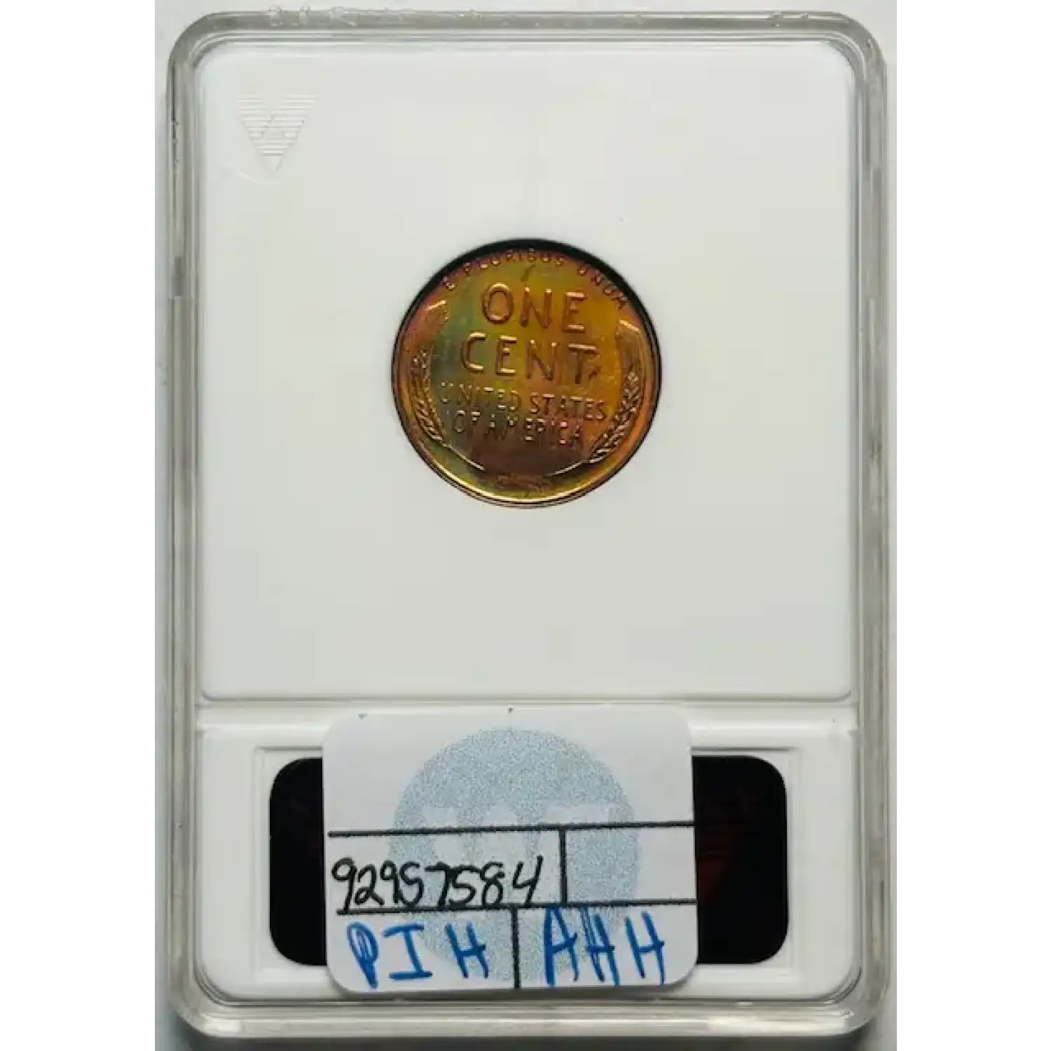 1955 Small Cents Lincoln, Wheat Ears Reverse ANACS PR-62 RB Dbl Die Rev - Bob Paul Rare Coins