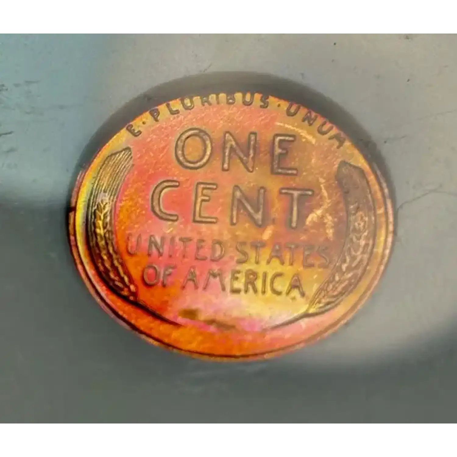 1955 Small Cents Lincoln, Wheat Ears Reverse ANACS PR-62 RB Dbl Die Rev - Bob Paul Rare Coins